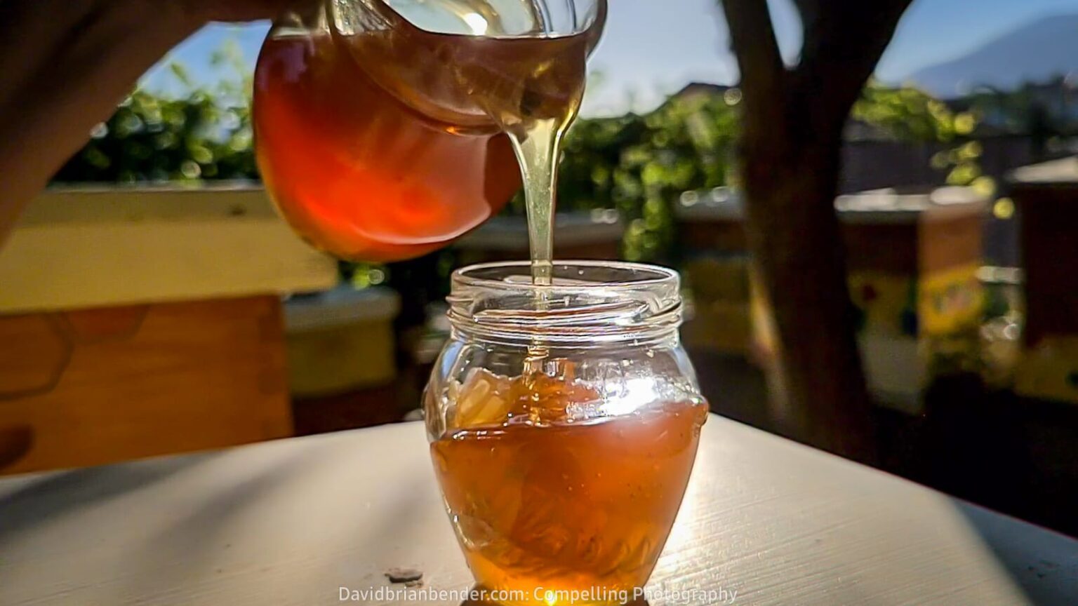 Spring & Summer Honey, 2025 – 500g